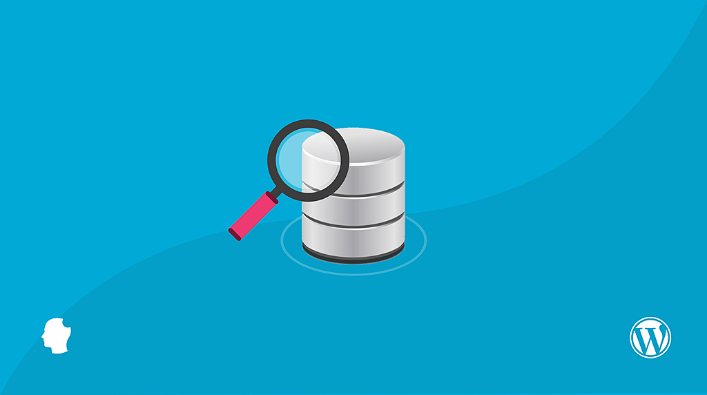 The Ultimate Developer s Guide To The WordPress Database