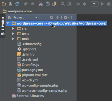 A Developer's Guide to Contributing to WordPress Core