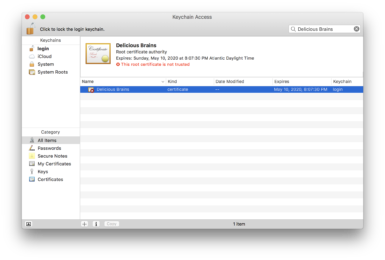 How to Create Your Own SSL Certificate Authority for Local HTTPS Development