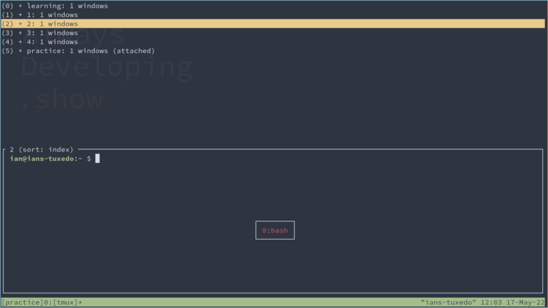 How to Use tmux for Remote & Local Development | Delicious Brains