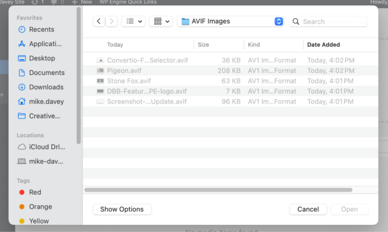 How to Use Next-Gen Images With WordPress