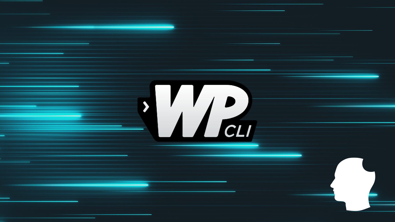 What s New In WP CLI